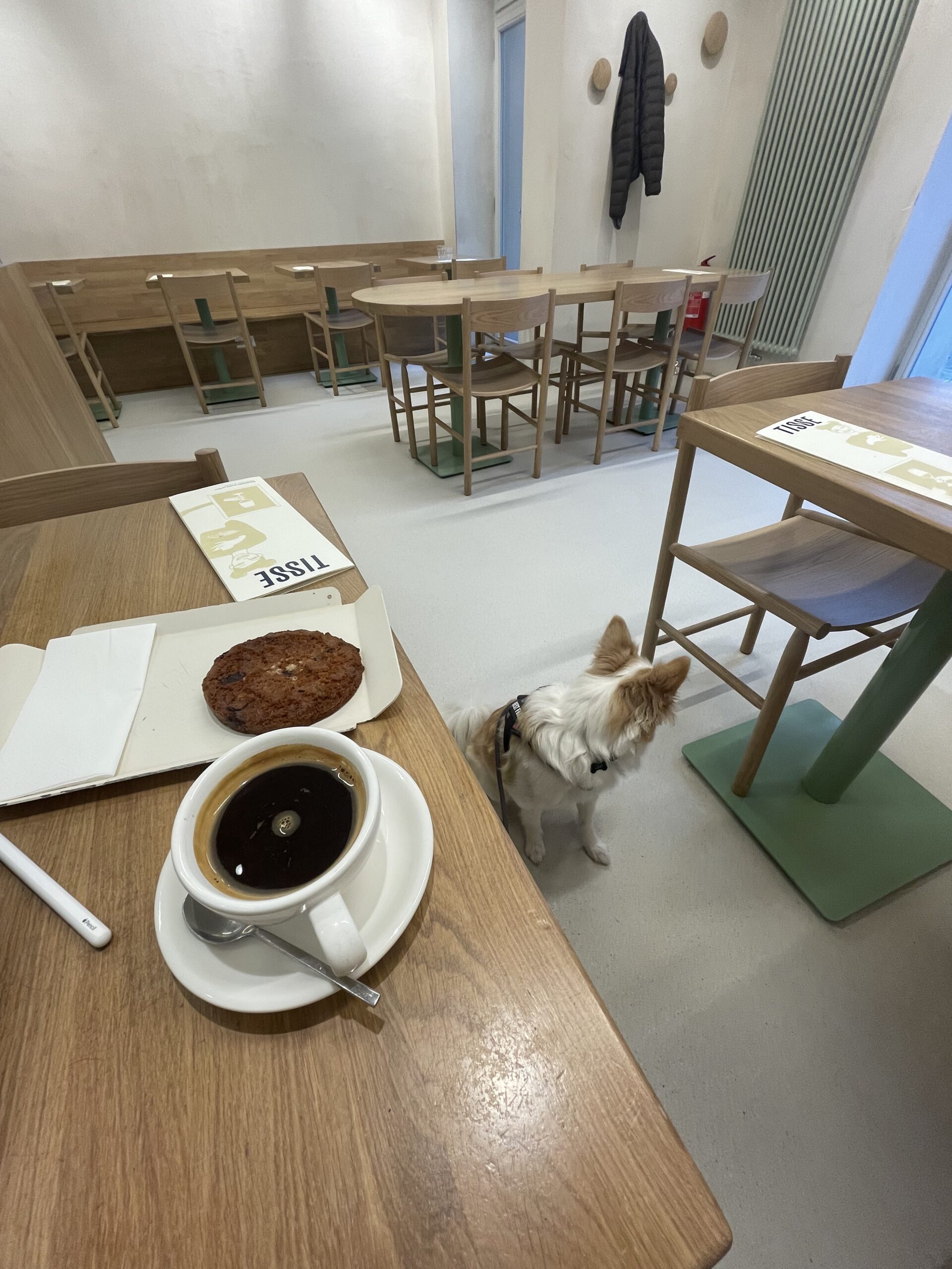 STUDY-FRIENDLY CAFÉS – International Degree Programmes – Prague ...